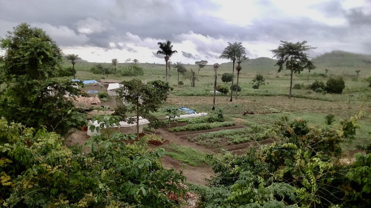 Visiting Jaune Congo, a farm outside Kinshasa – Emilio in Congo (DRC)