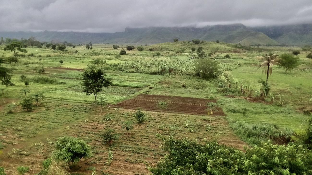 Visiting Jaune Congo, a farm outside Kinshasa – Emilio in Congo (DRC)