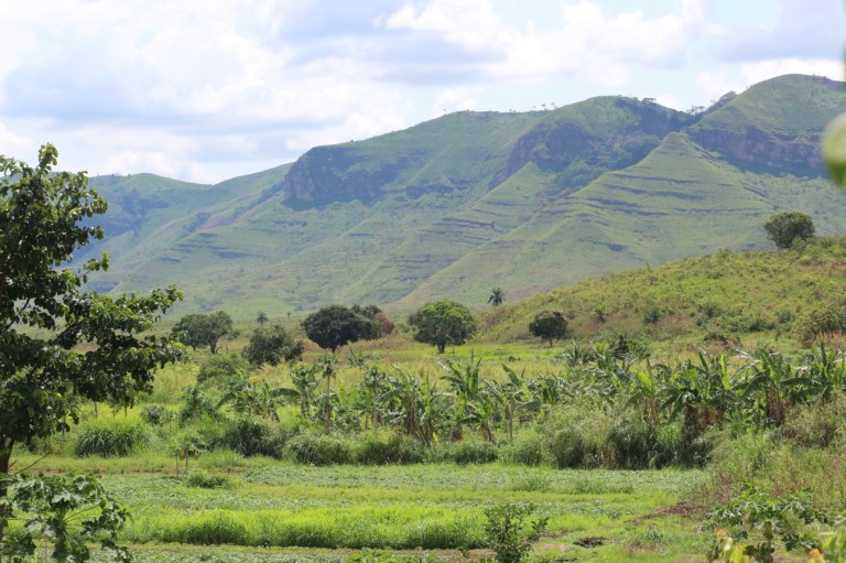 Visiting Jaune Congo, a farm outside Kinshasa – Emilio in Congo (DRC)